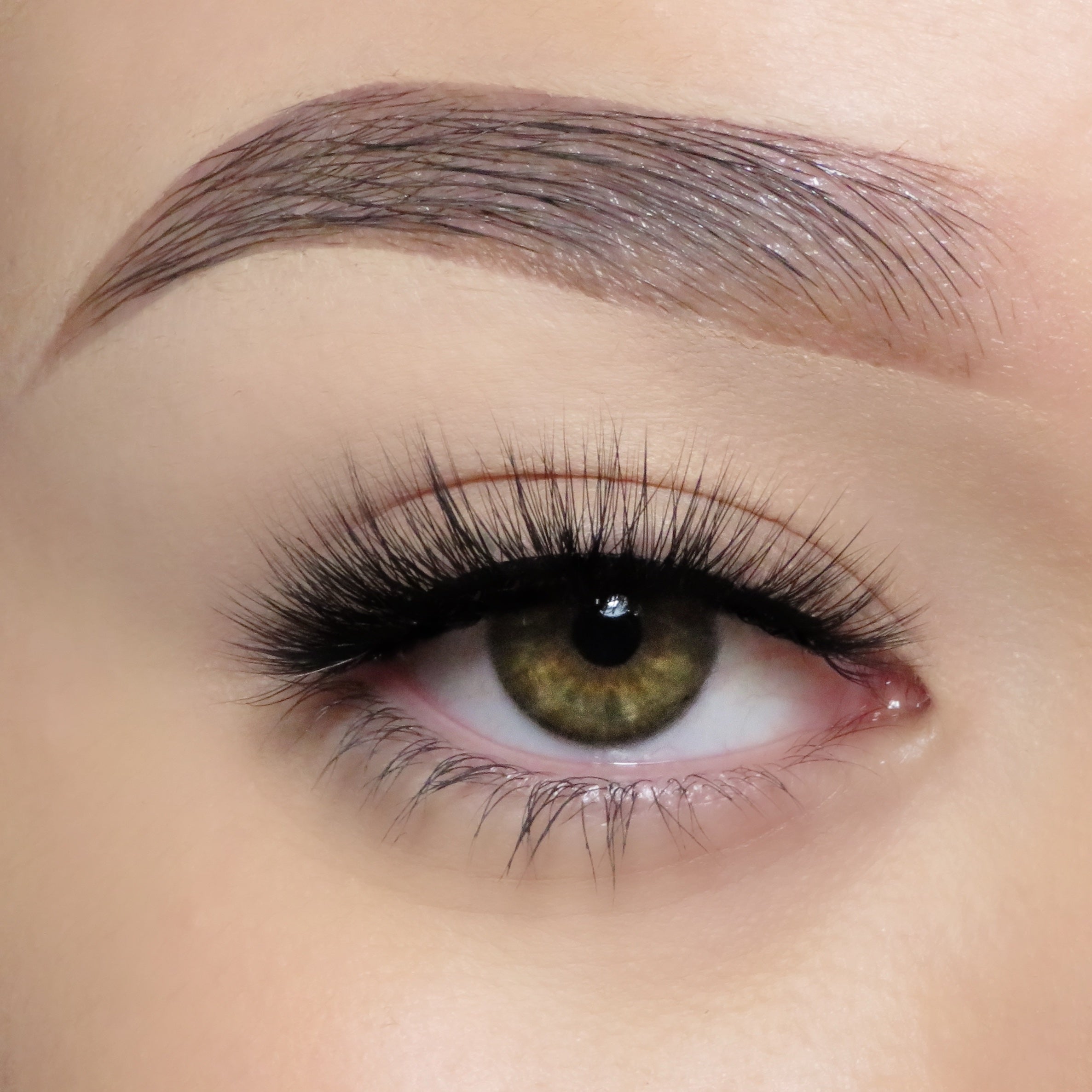 Stephanie | Subtle Lashes | Soft Korean 3D Faux Mink Lashes