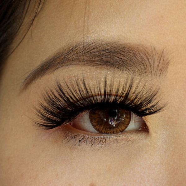 Breanne | Subtle Lashes | Soft Glam Everyday Lashes
